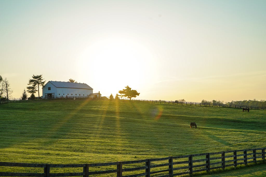 Amtrak in Kentucky: What You Need To Know - TWK